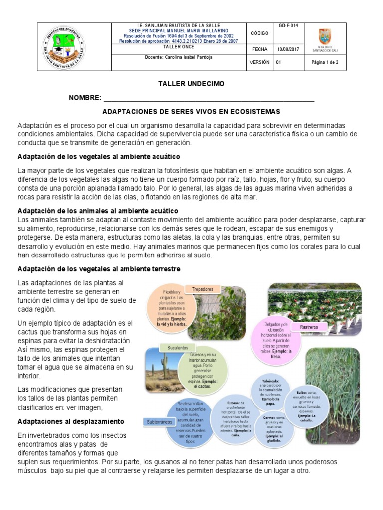 Taller 11 Adaptaciones Ecosistemas | PDF | Plantas | Adaptación