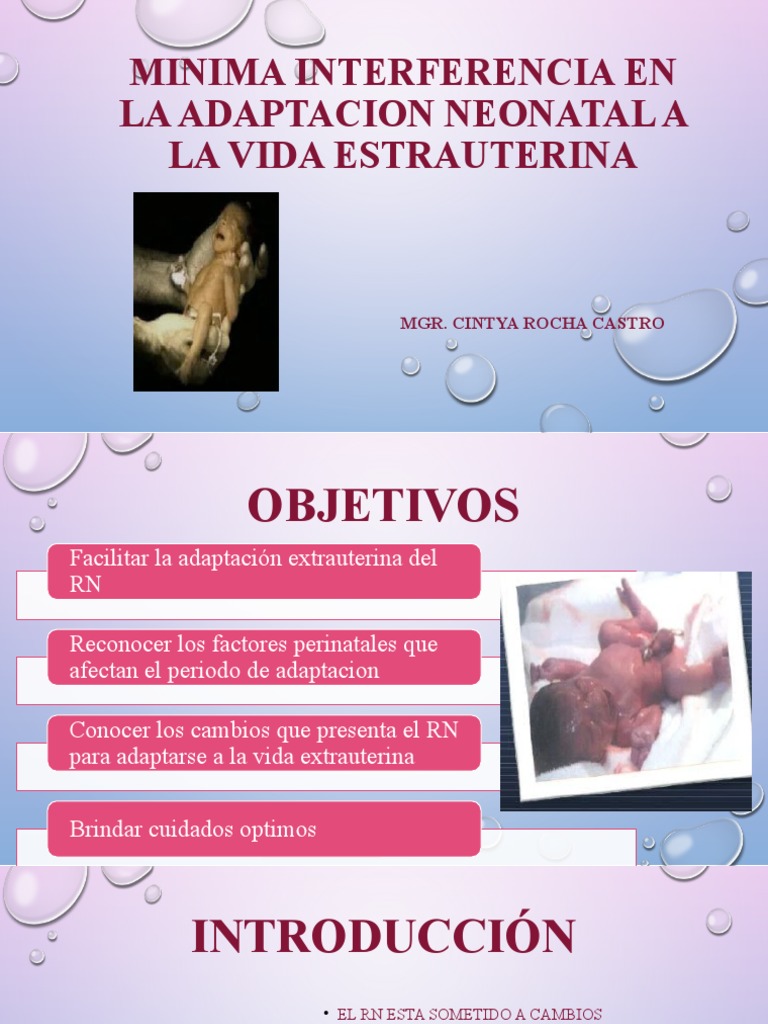 Minima Interferencia en La Adaptacion Neonatal A La | PDF | Sistema ...