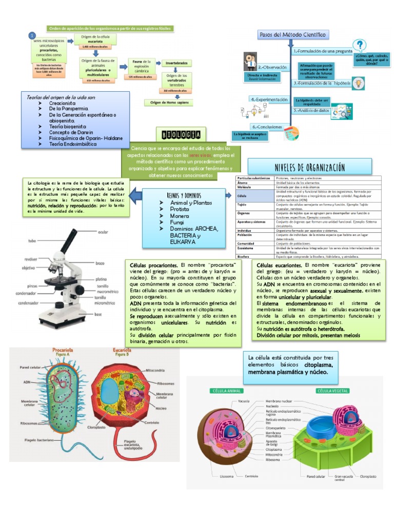 Tema 1. - La Célula Como La Unidad Estructural y Funcional de Los Seres ...