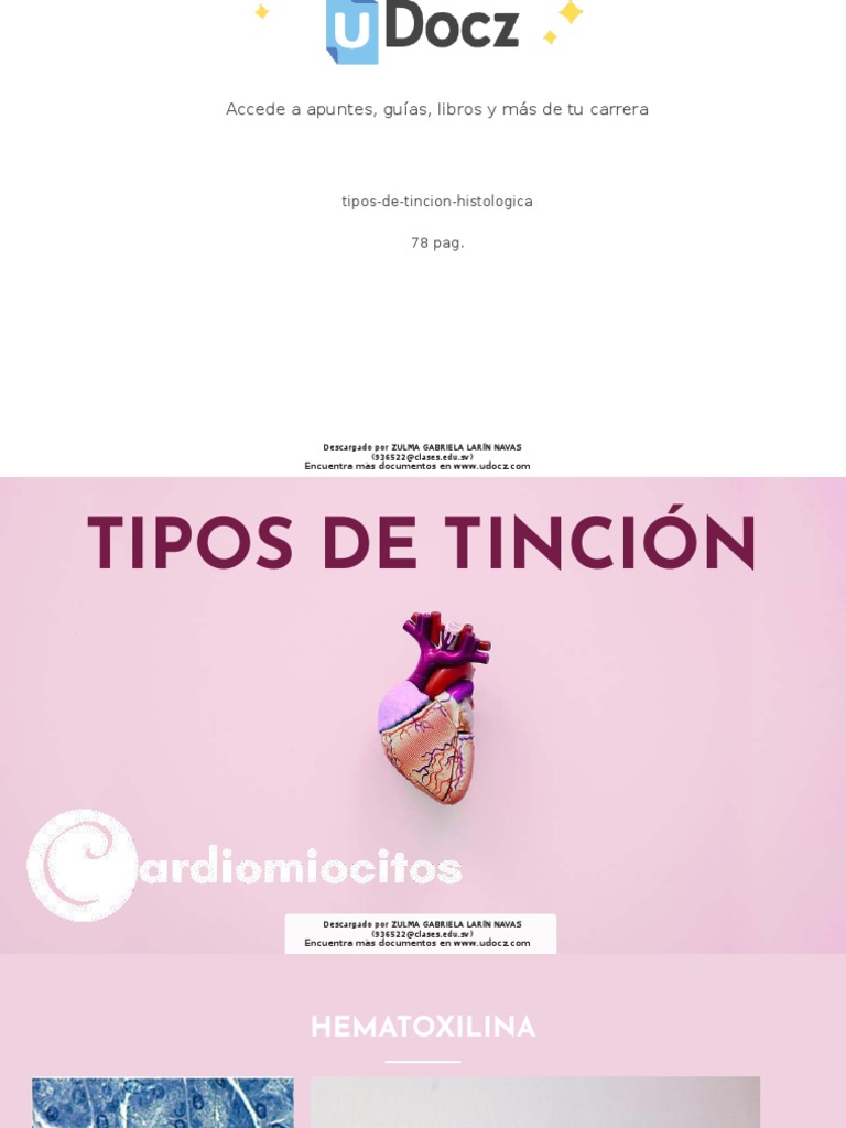 Tipos de Tincion Histologica 162928 Downloable 1650987 | PDF