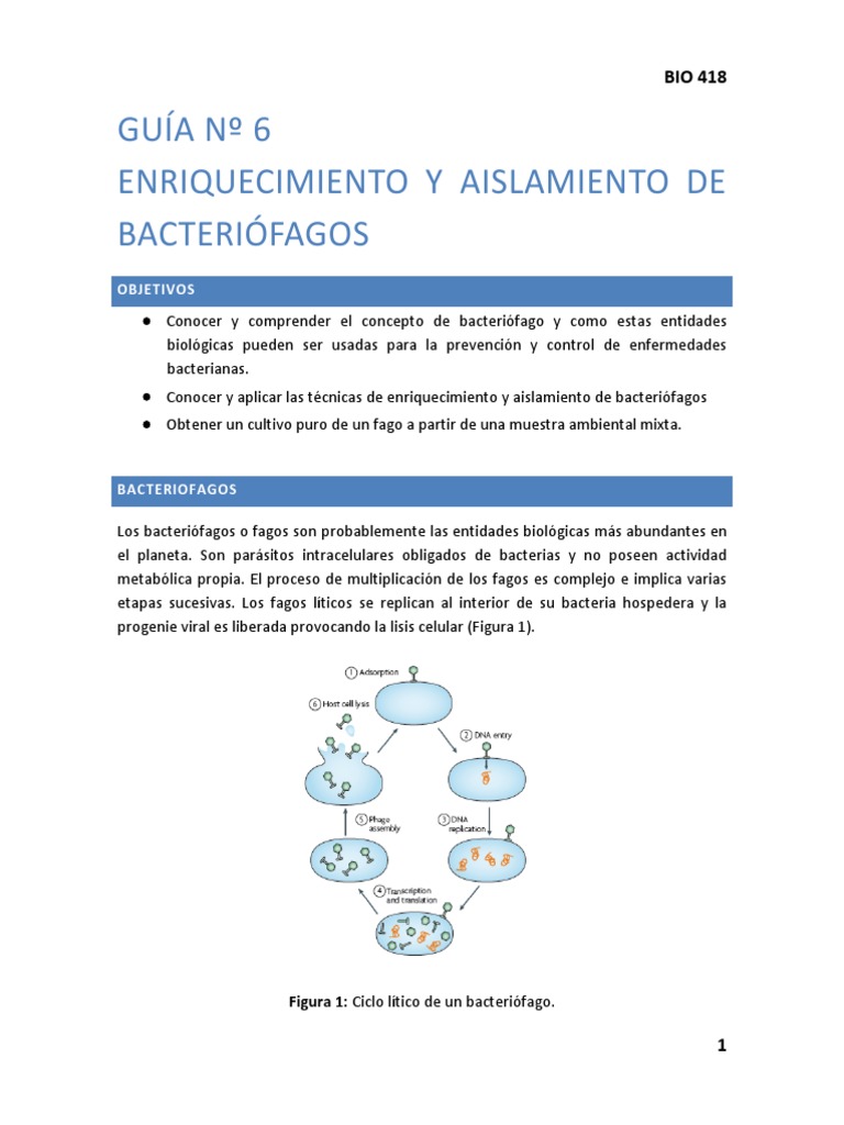 Guía 6 | PDF | Bacteriófago | Las bacterias
