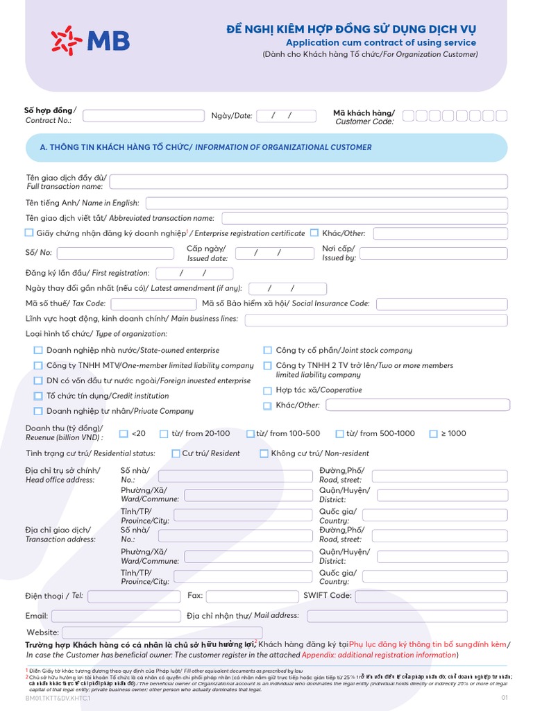 BM01.TKTT - DV - KHTC.1 (M Tài Kho N) | PDF