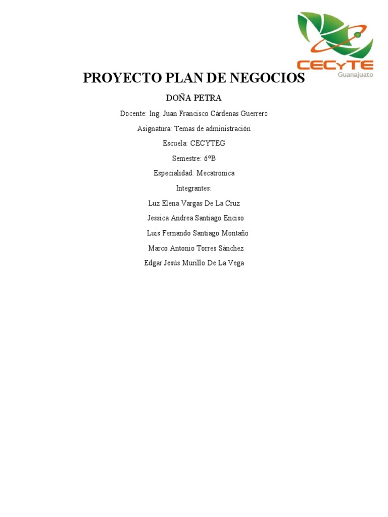 Proyecto Plan de Negocios | PDF