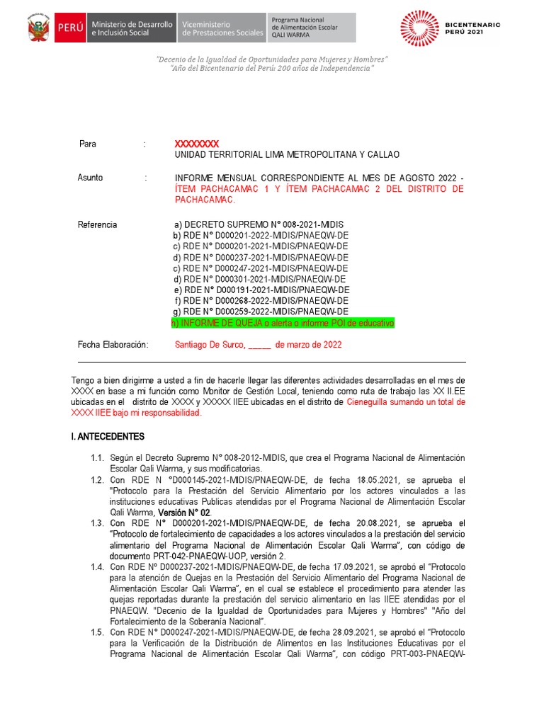 Modelo de Informe Mensual | PDF | Perú