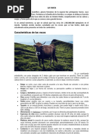 Ciclo de Vida de la Vaca: Etapas y Características | PDF | Vacas | Leche
