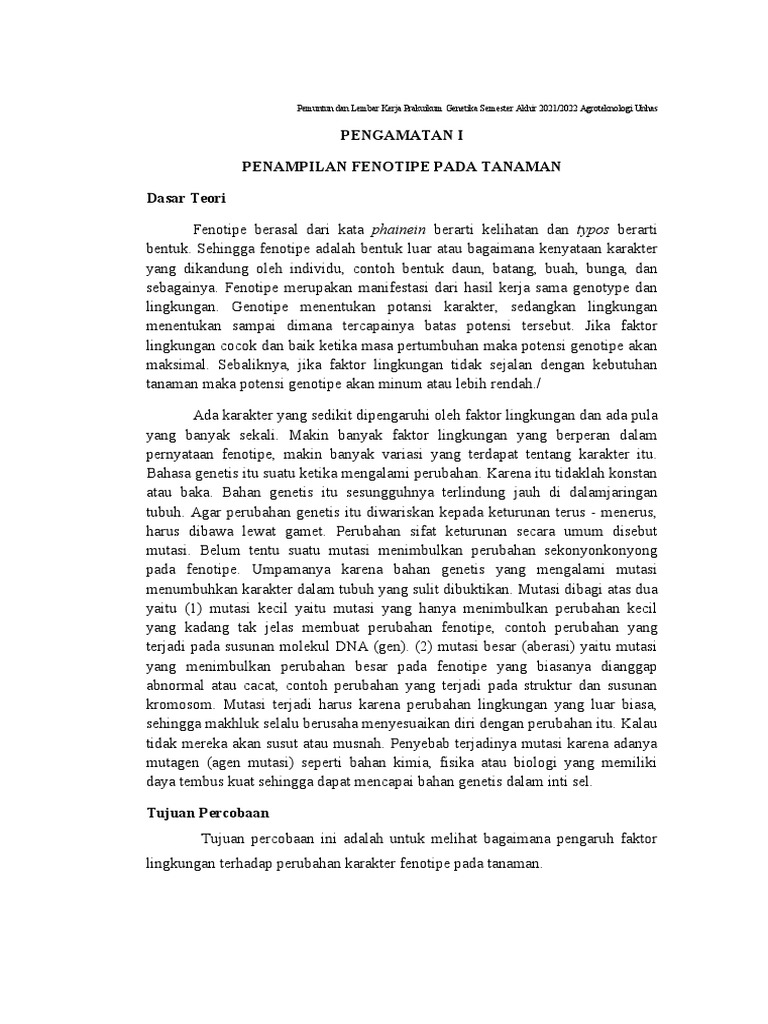 Pengaruh Lingkungan Terhadap Fenotipe Tanaman | PDF