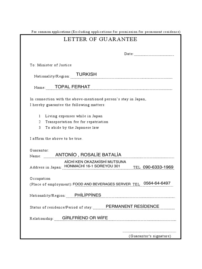 Letter of Guarantee | PDF | Social Science | Law