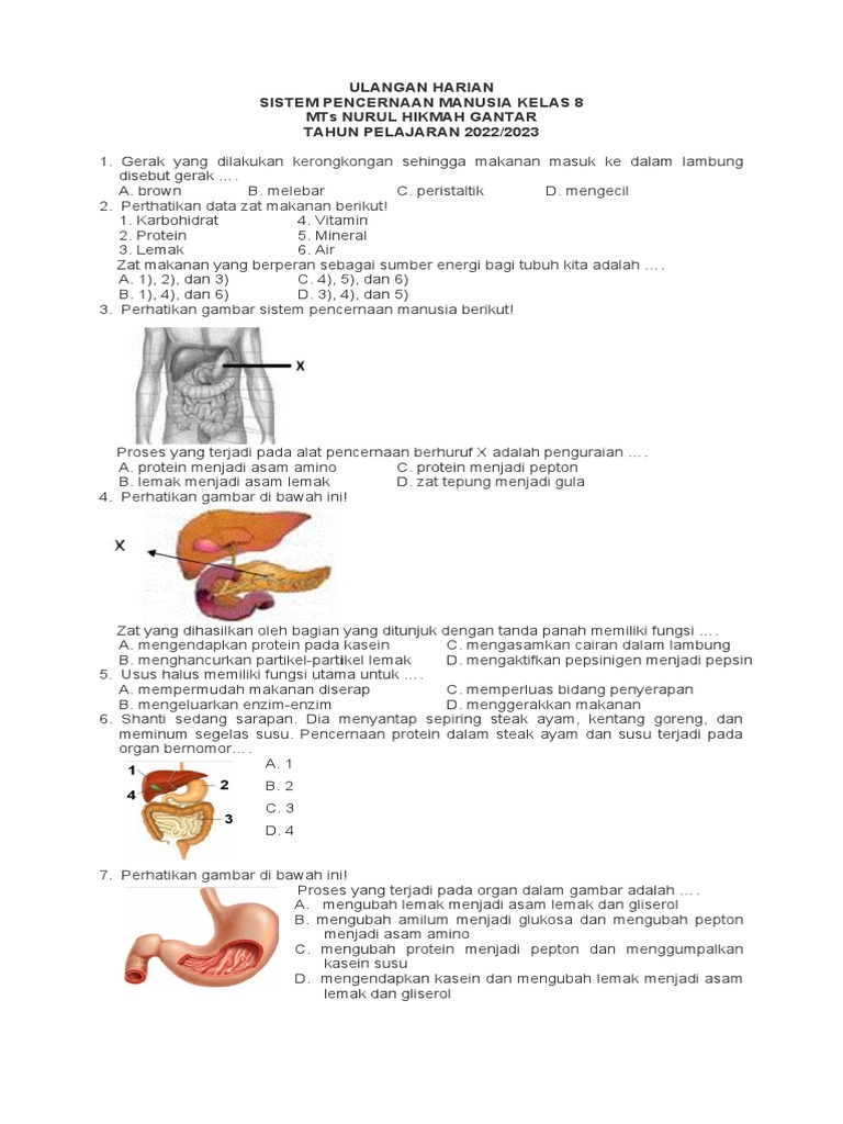 ULANGAN HARIAN Sistem Pencernaan Manusia Kls 8 | PDF