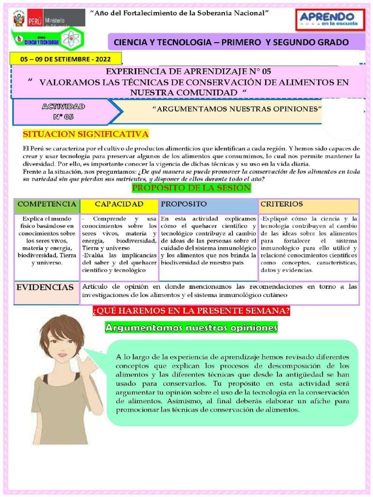 CyT 1ro y 2do - Experiencia 5 - Actividad 5 | PDF