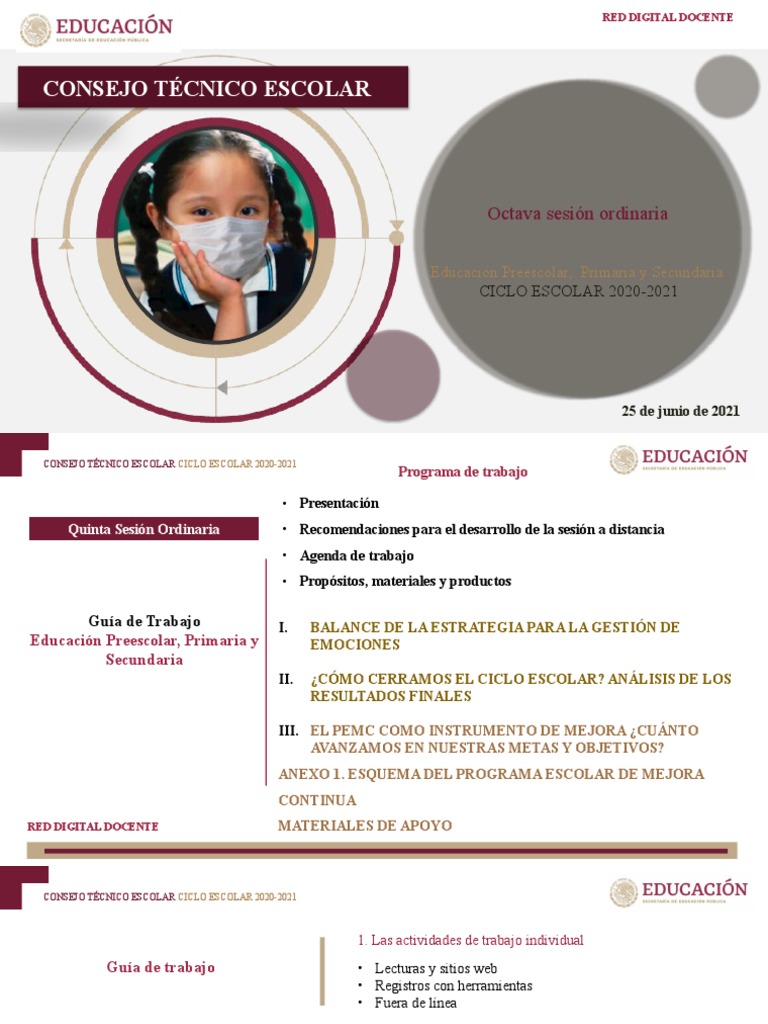 Consejo Técnico Escolar: Octava Sesión Ordinaria | PDF | Las emociones | Método de enseñanza