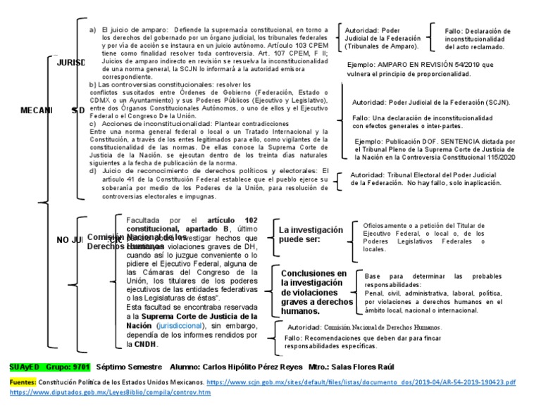 Cuadro Sinoptico | PDF | Ley constitucional | Justicia