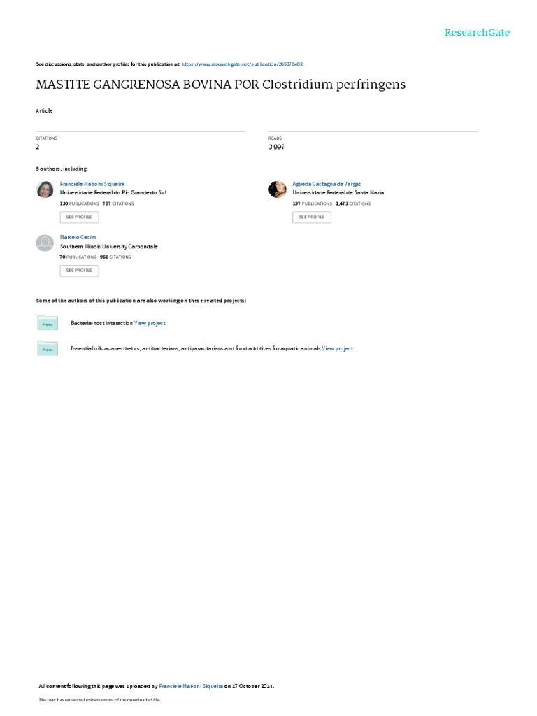 MASTITE GANGRENOSA BOVINA POR Clostridium Perfring - Amandio Steffen ...