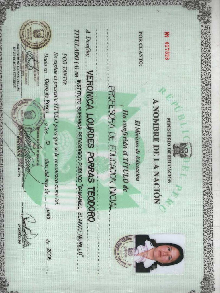 Titulo Profesional | PDF