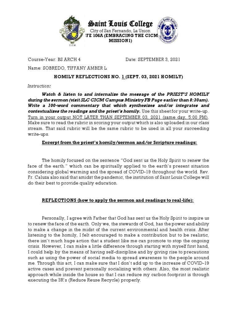 Homily Reflections | PDF