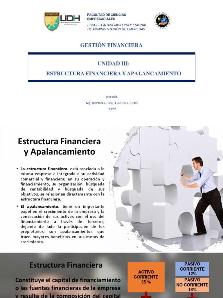 Estructura Financiera y Apalancamiento | PDF | Apalancamiento (Finanzas) | Compartir (Finanzas)