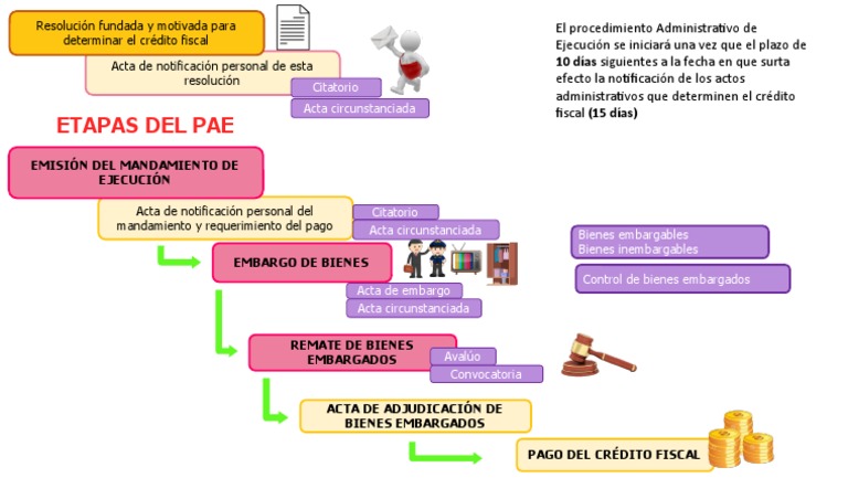 Esquema PAE | PDF