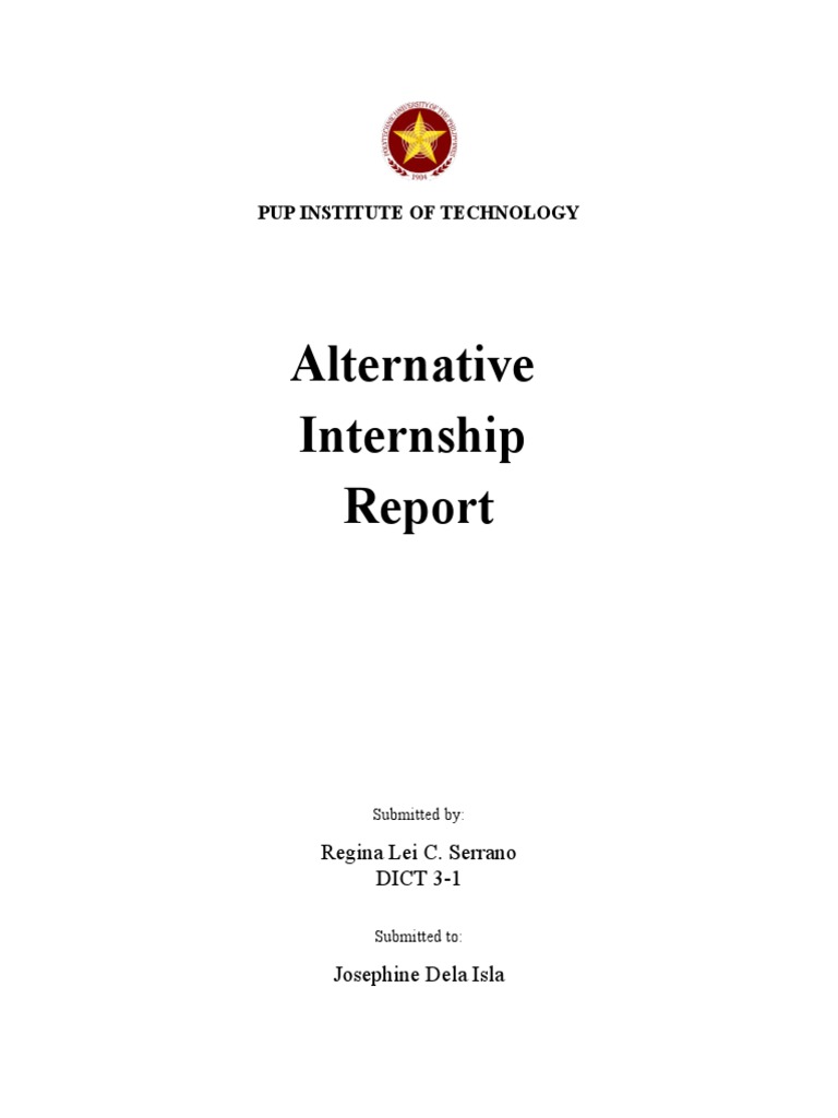 Alternative Internship Narrative Report | PDF | Microsoft Excel ...