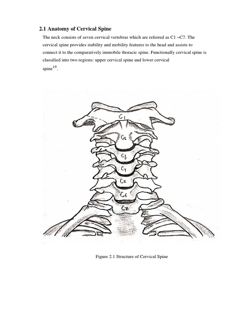 Thesis On Neck Pain | PDF | Vertebra | Human Anatomy