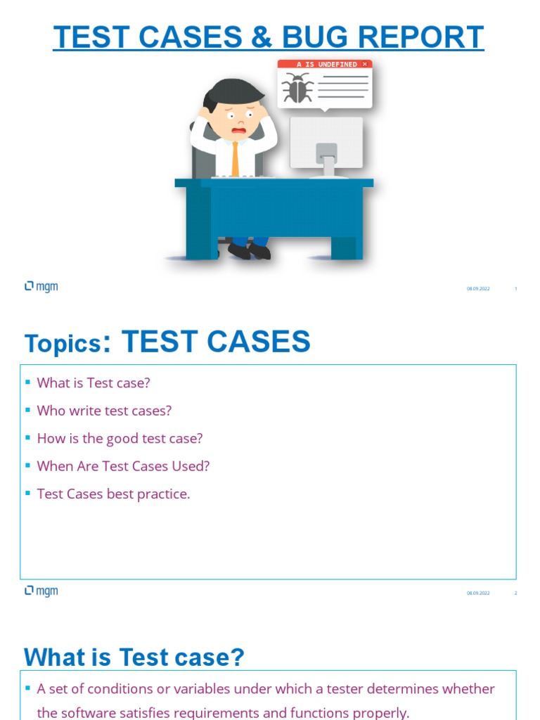 Test Case Bug Report | PDF | Software Bug | Software