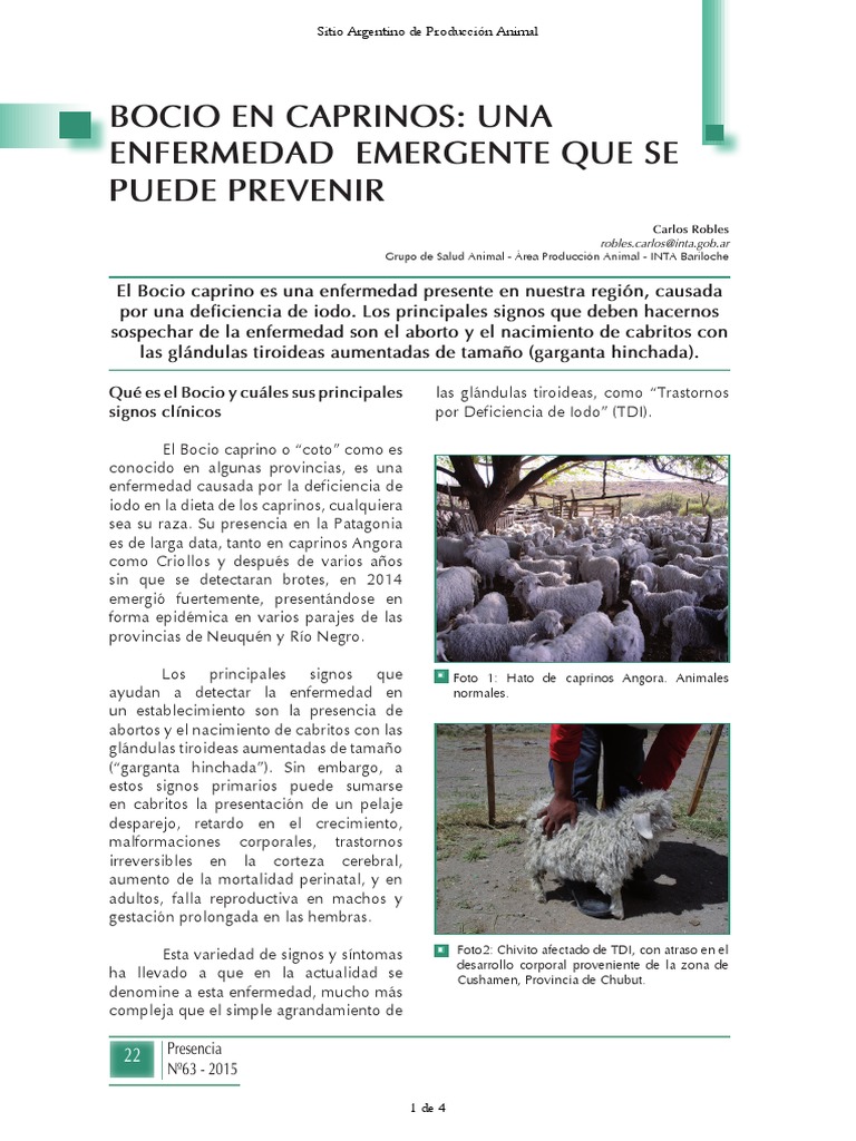 Prevención del bocio en caprinos | PDF | Yodo | Tiroides