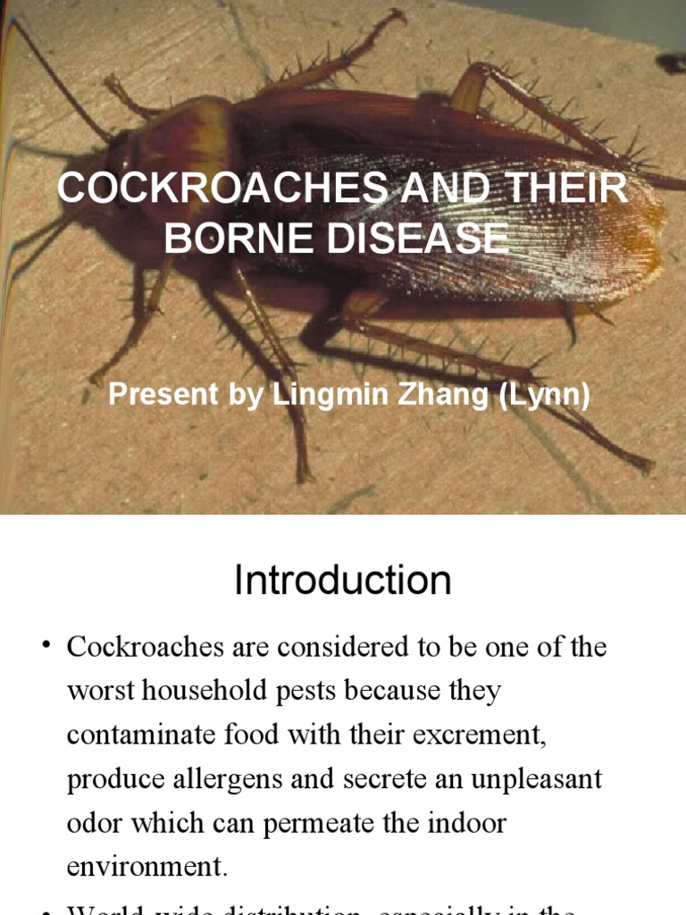 Cockroaches and Their Borne Disease - 20160601100215 | PDF | Pest ...