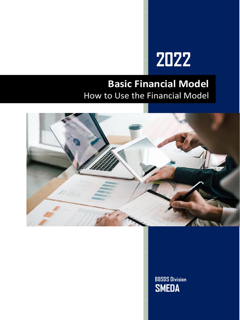 Basic Financial Model User Manual Pdf Inventory Cost Of Goods Sold