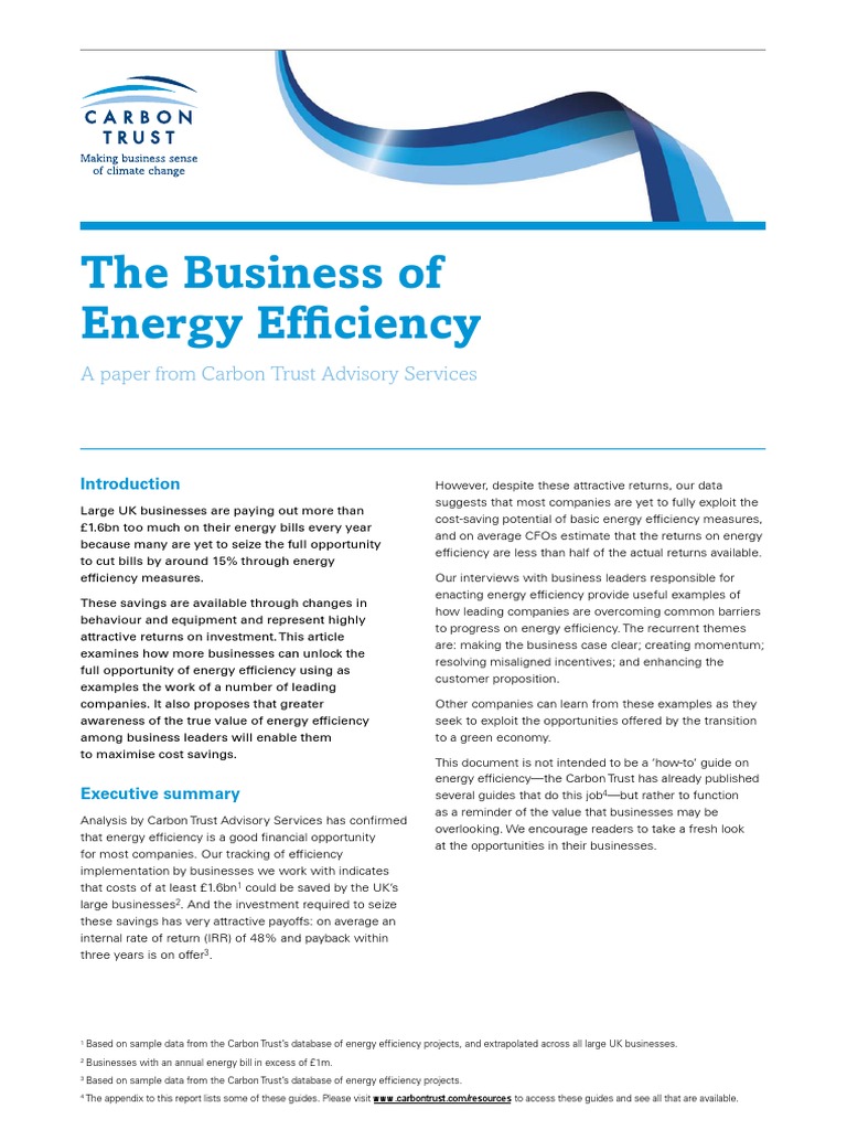 The Business of Energy Efficiency | PDF | Efficient Energy Use ...