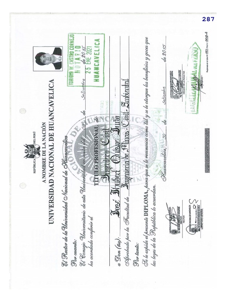 Titulo Profesional | PDF