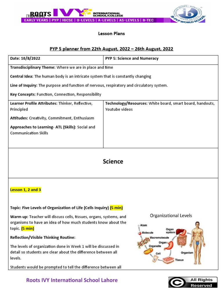 PYP 5 Science & Math Lessons | PDF | Lesson Plan | Learning