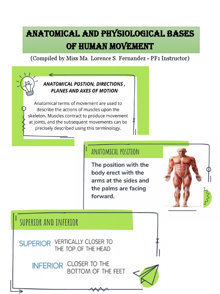 Anatomical and Physiological Bases of Human Movement | PDF | Social Science