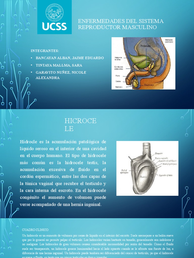 Qué es la espermatorrea | PDF | Causas de la muerte | Medicina