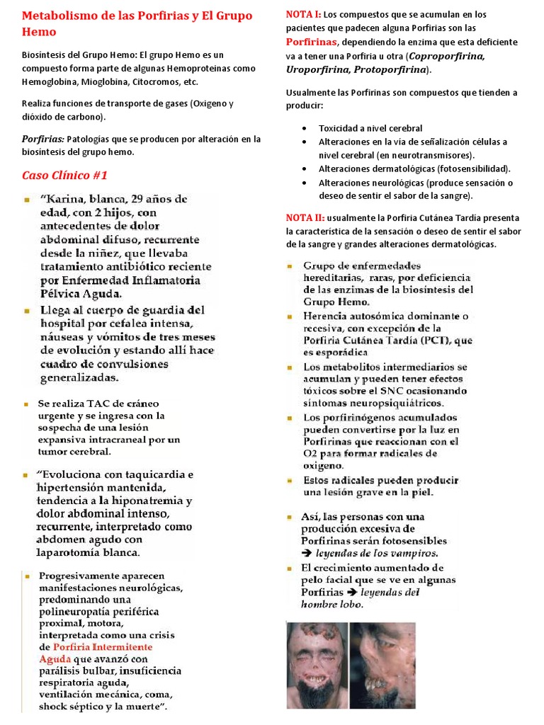 Metabolismo del Grupo Hemo y Porfirias | PDF | Metabolismo | Bioquímica