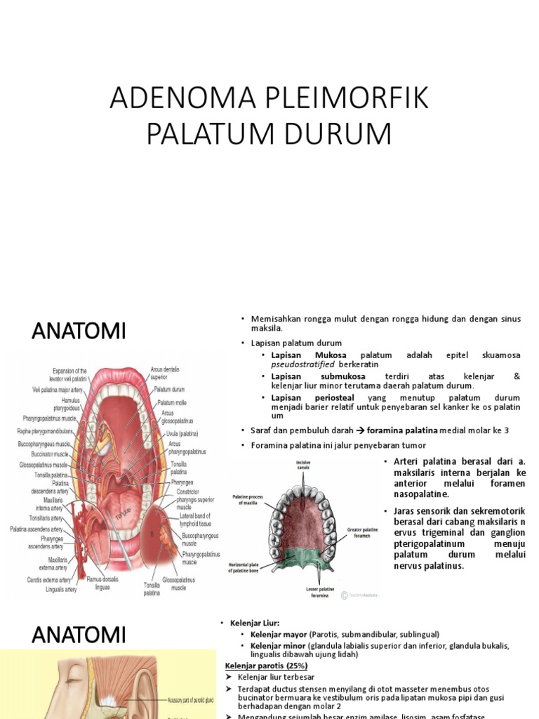 Adenoma Pleimorfik Palatum Durum | PDF