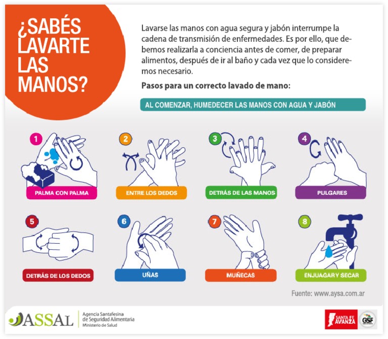 Assal Lavado de Manos | PDF