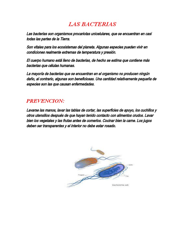 Las Bacterias | PDF