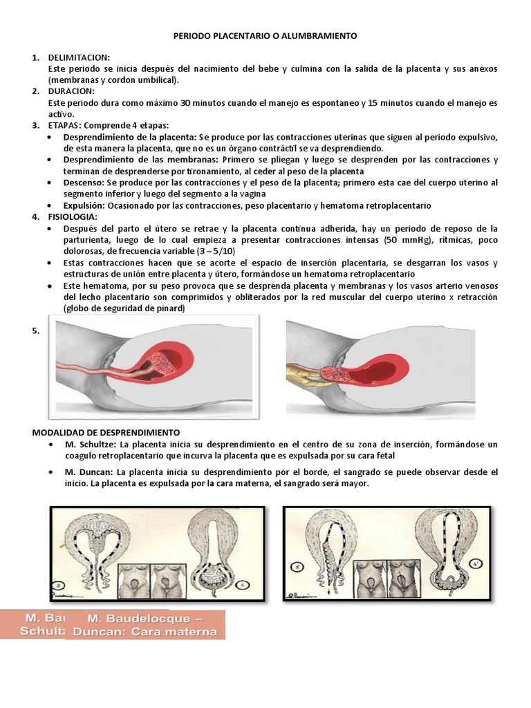 21 Periodo de Alumbramiento | Descargar gratis PDF | Parto | Placenta