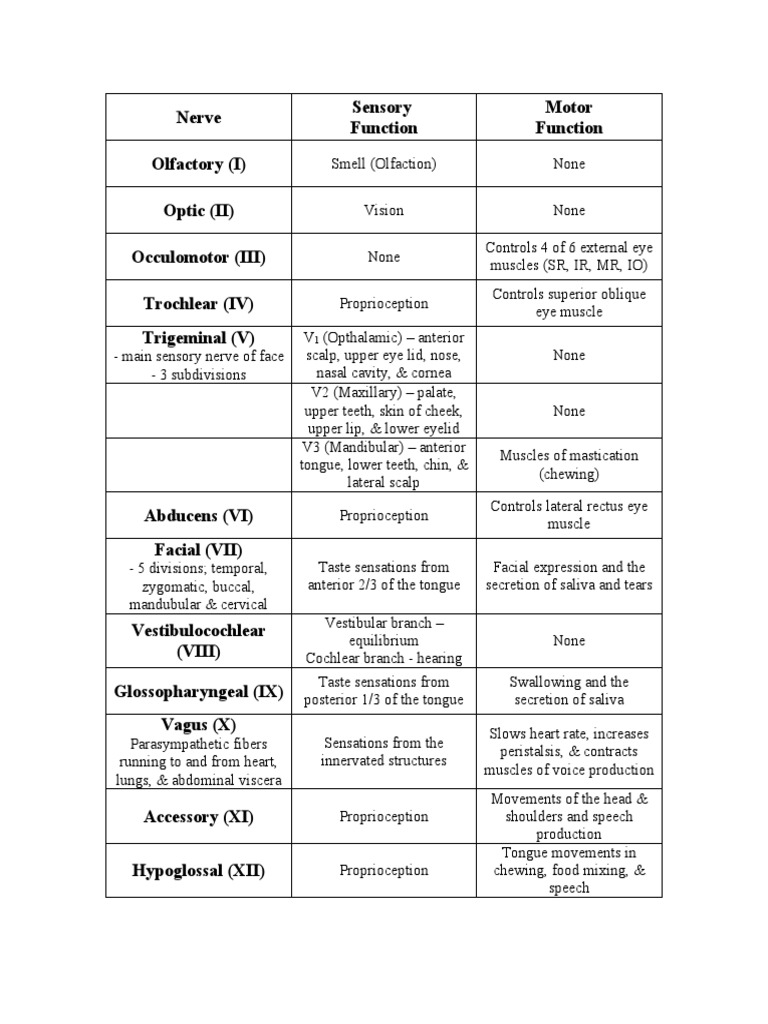 Cranial Nerves Table | PDF | Anatomy | Organ (Anatomy)