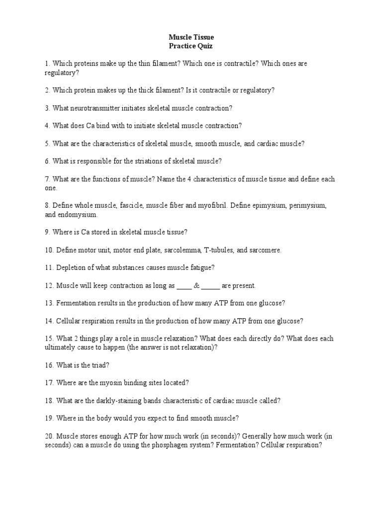 Muscle Tissue Quiz | PDF