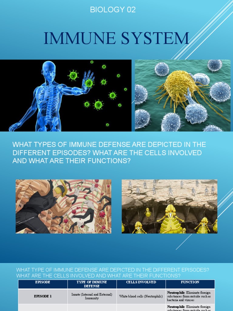 Immune System | PDF | Immune System | Adaptive Immune System