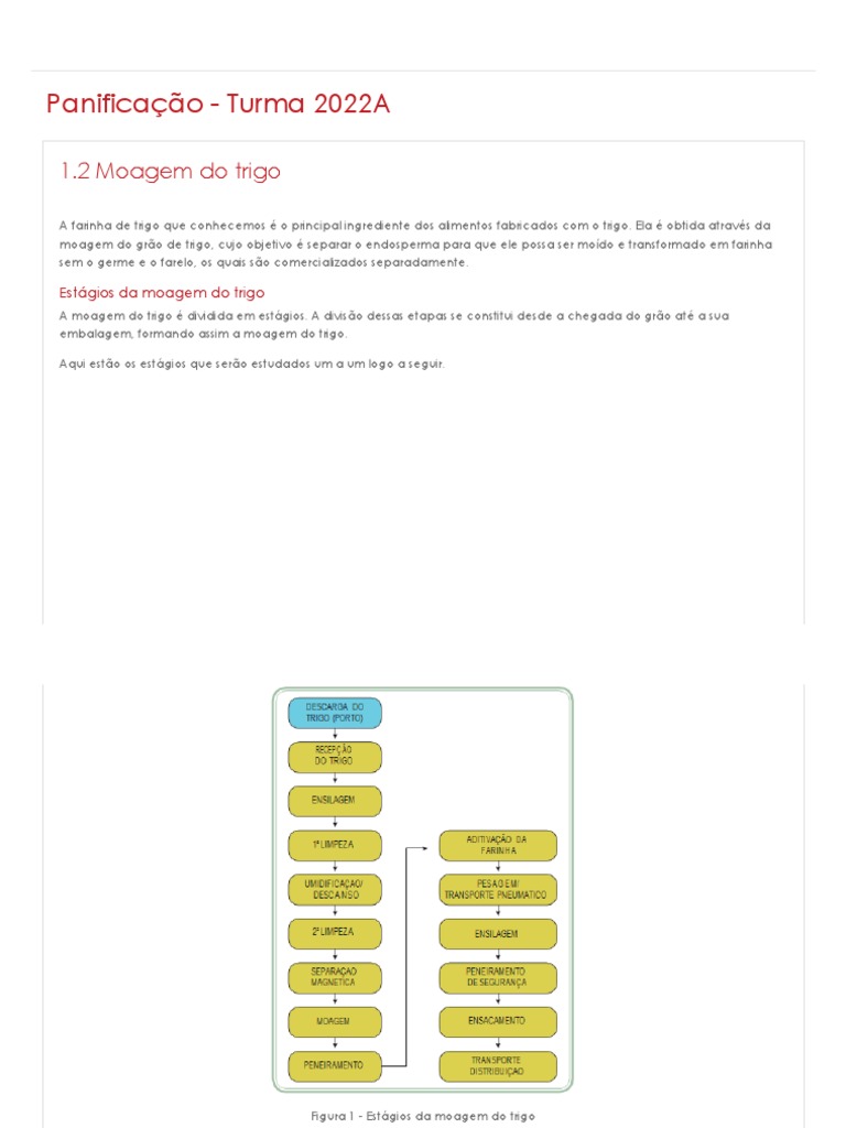 Estágios da Moagem do Trigo | PDF | Trigo | Alimentos básicos