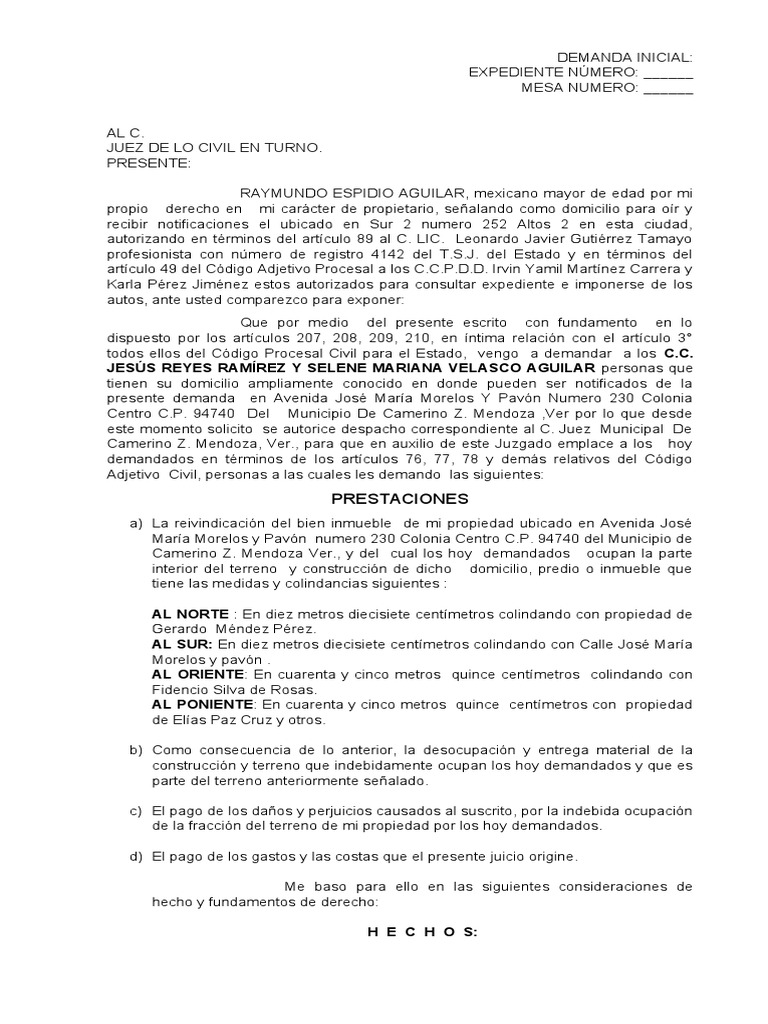 Demanda Invasion Terreno | PDF | Propiedad | Demanda judicial