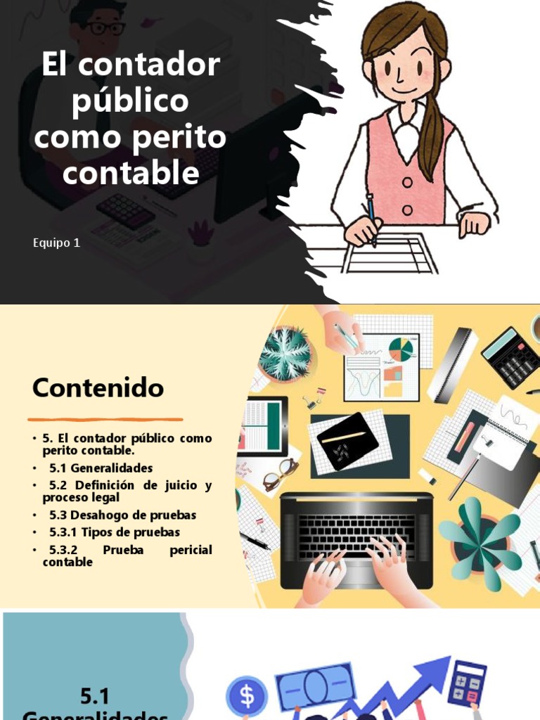 Contador Público Como Perito Contable Pdf Sentencia Ley Testigo