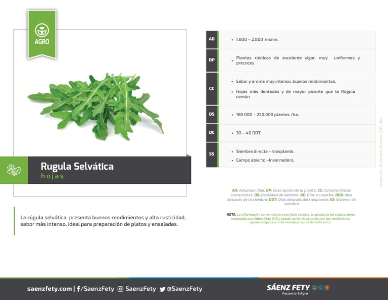 Rúgula Selvática: Alta Rusticidad y Sabor Intenso | PDF | Agricultura ...