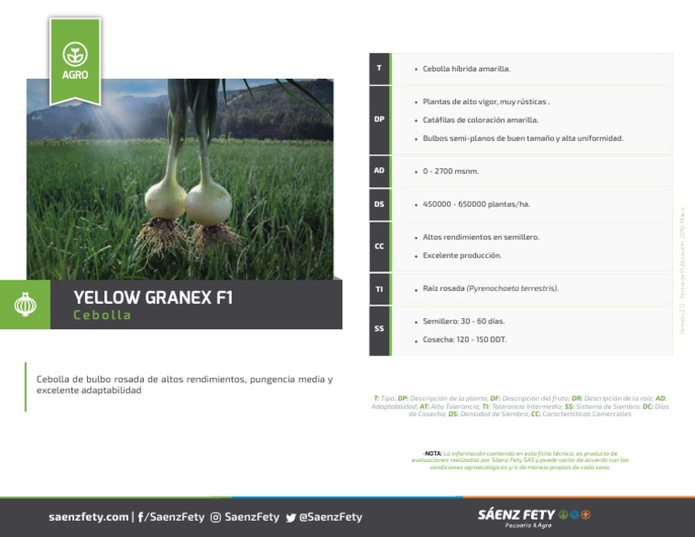 Cebolla Yellow Granex f1 | PDF | Plantas | Agricultura