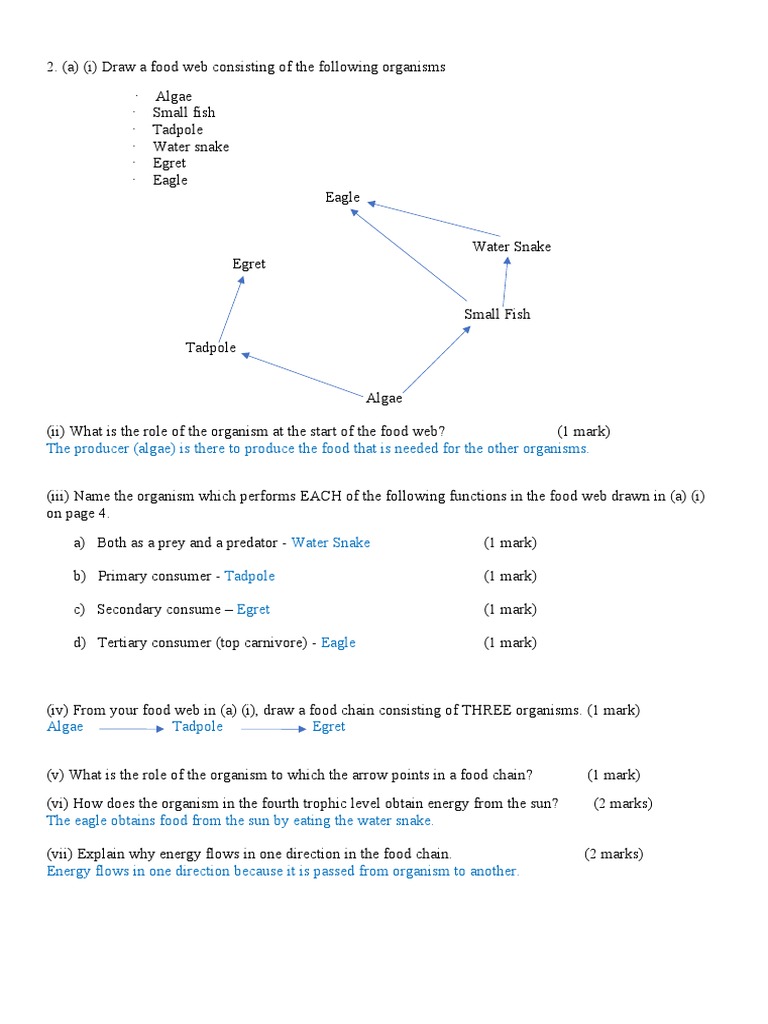 Food Web Relationships | PDF | Food Web | Parasitism