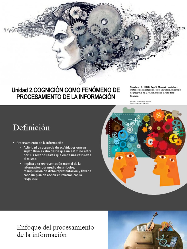 02 Procesamiento de La Informacion | PDF | Memoria | Esquema (psicología)