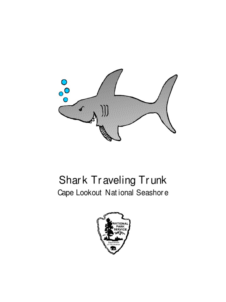 Shark Traveling Trunk (Inglés) Autor Varios Autores | PDF | Sharks | Fish