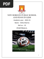 Football Project File Class 12 Physical Education | PDF | Lionel Messi ...