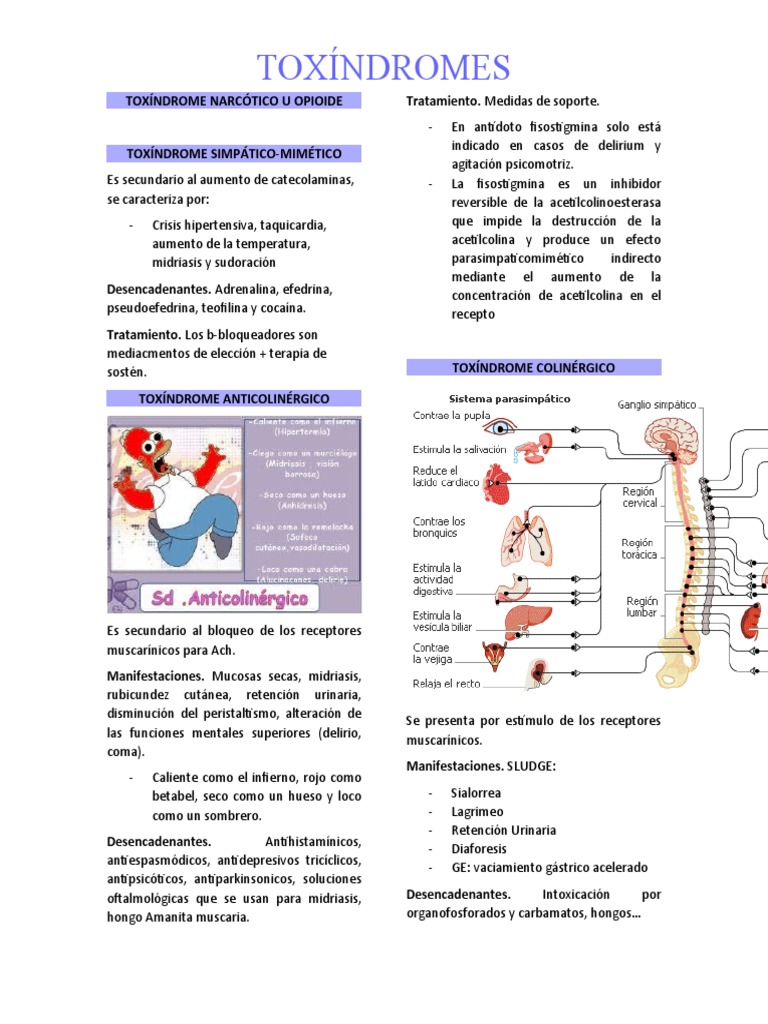 Guía de Toxíndromes y Tratamientos | PDF | Antidepresivo | Acetilcolina