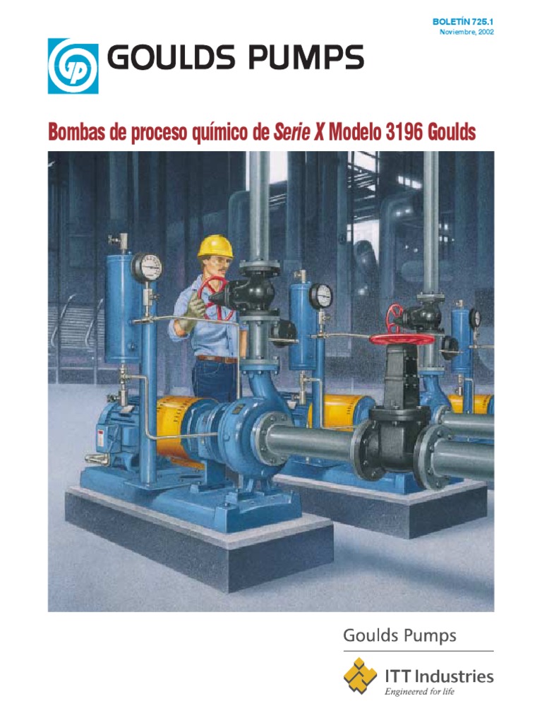 Bombas de Proceso Químico de Serie X Modelo 3196 Goulds | PDF ...